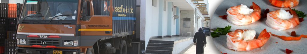 Steps to get MPEDA Registration as an Exporter – MPEDA EXPORTERS