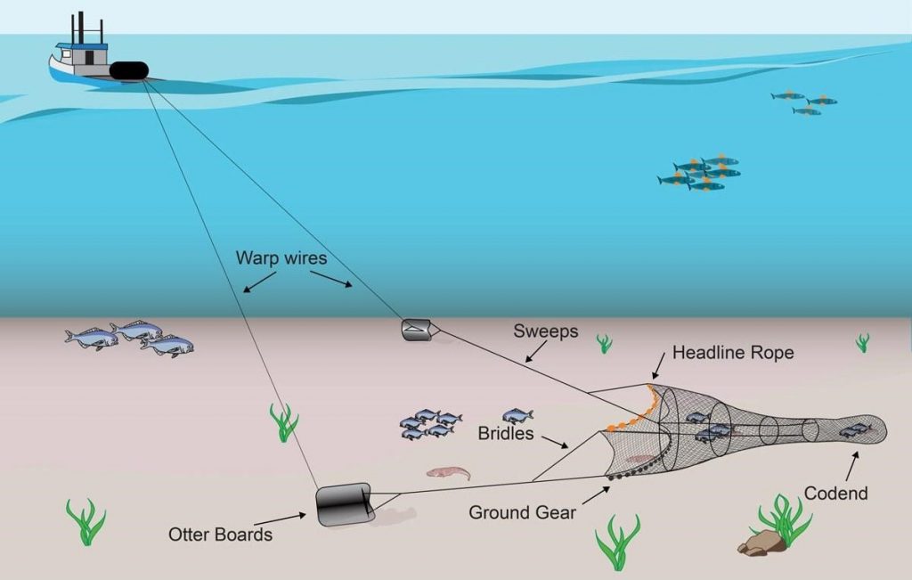 FISHING GEARS – MPEDA FISHERS