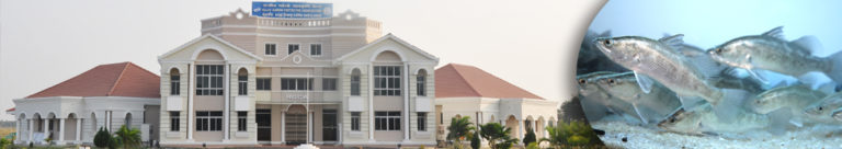 Rajiv Gandhi Centre for Aquaculture (RGCA) – MPEDA