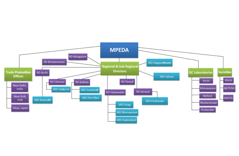 OFFICE STRUCTURE – MPEDA